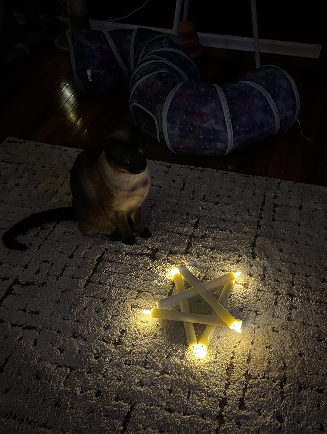 Summoner | Cats | Know Your Meme