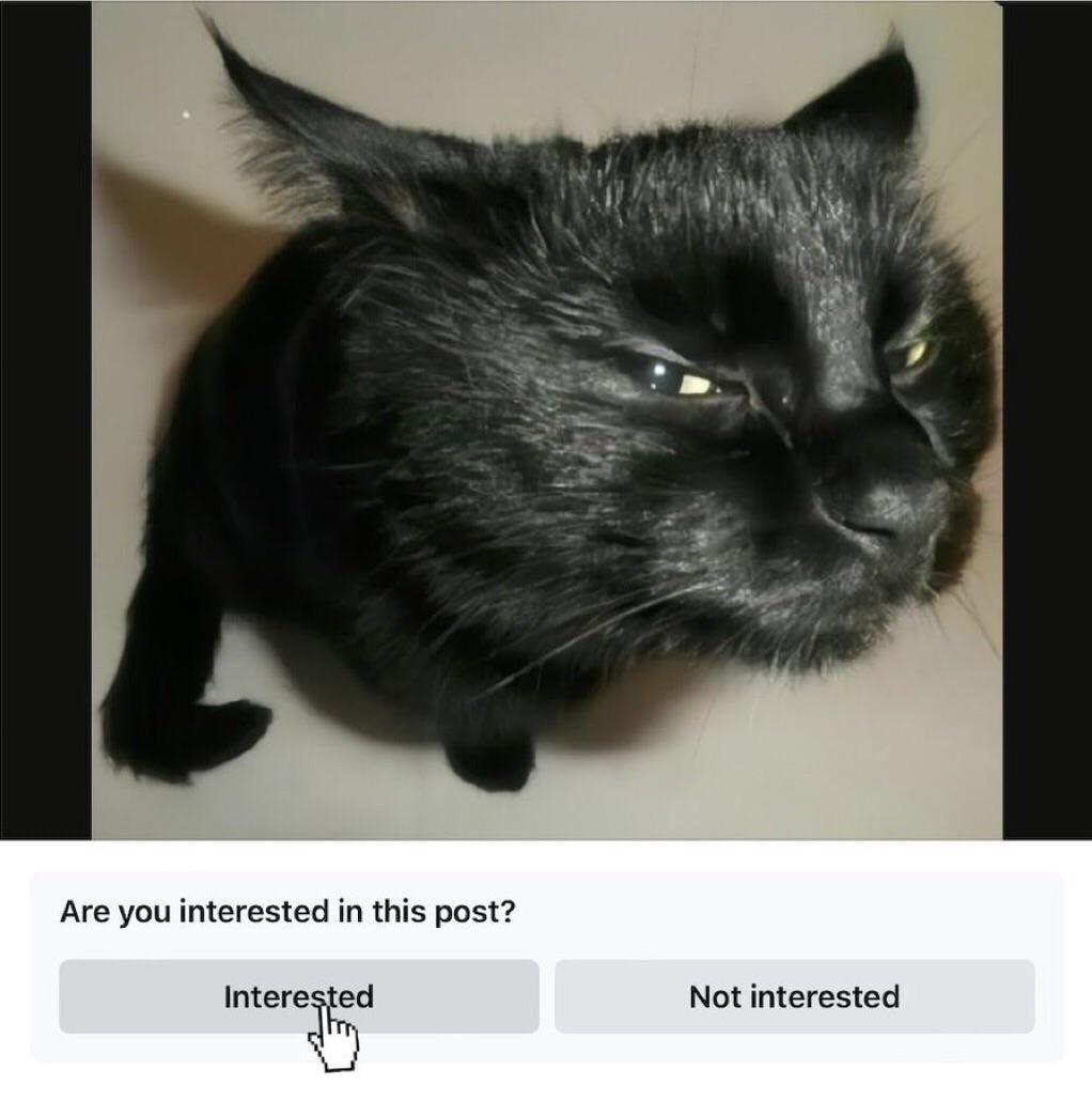 I’m interested. | /r/memes | Know Your Meme