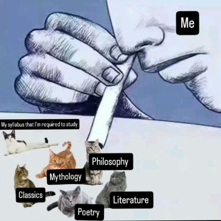 Legittttttt | /r/memes | Know Your Meme