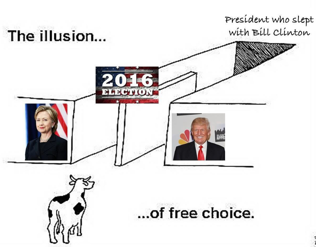 The illusion of free choice | Epstein Files | Know Your Meme