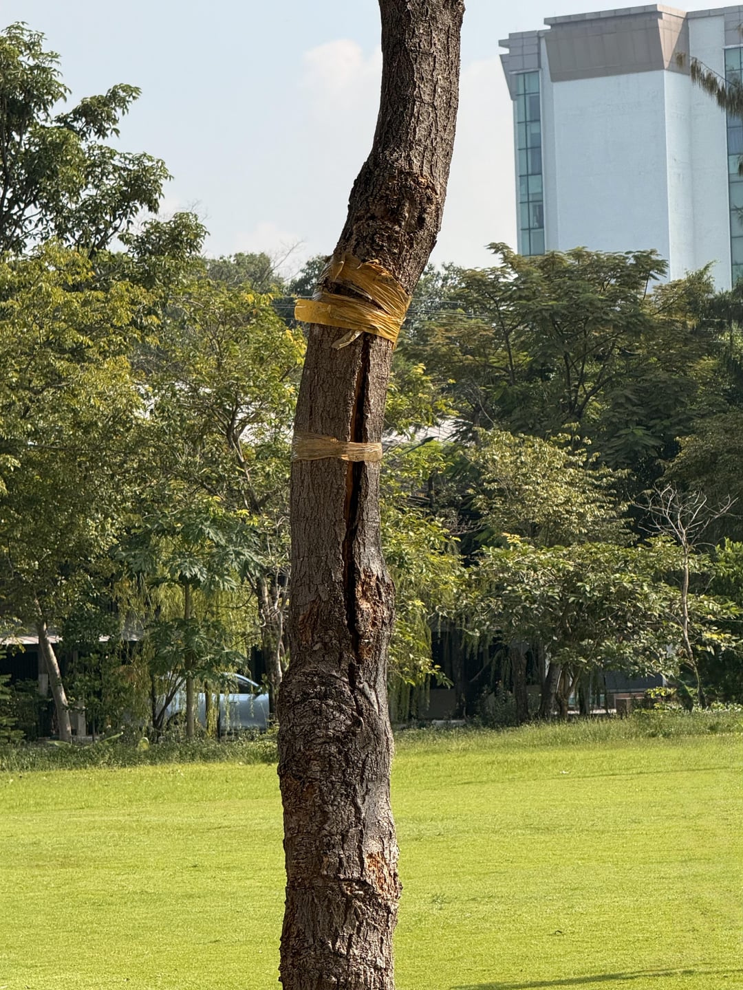 Just a bit of tape... | You Had One Job | Know Your Meme