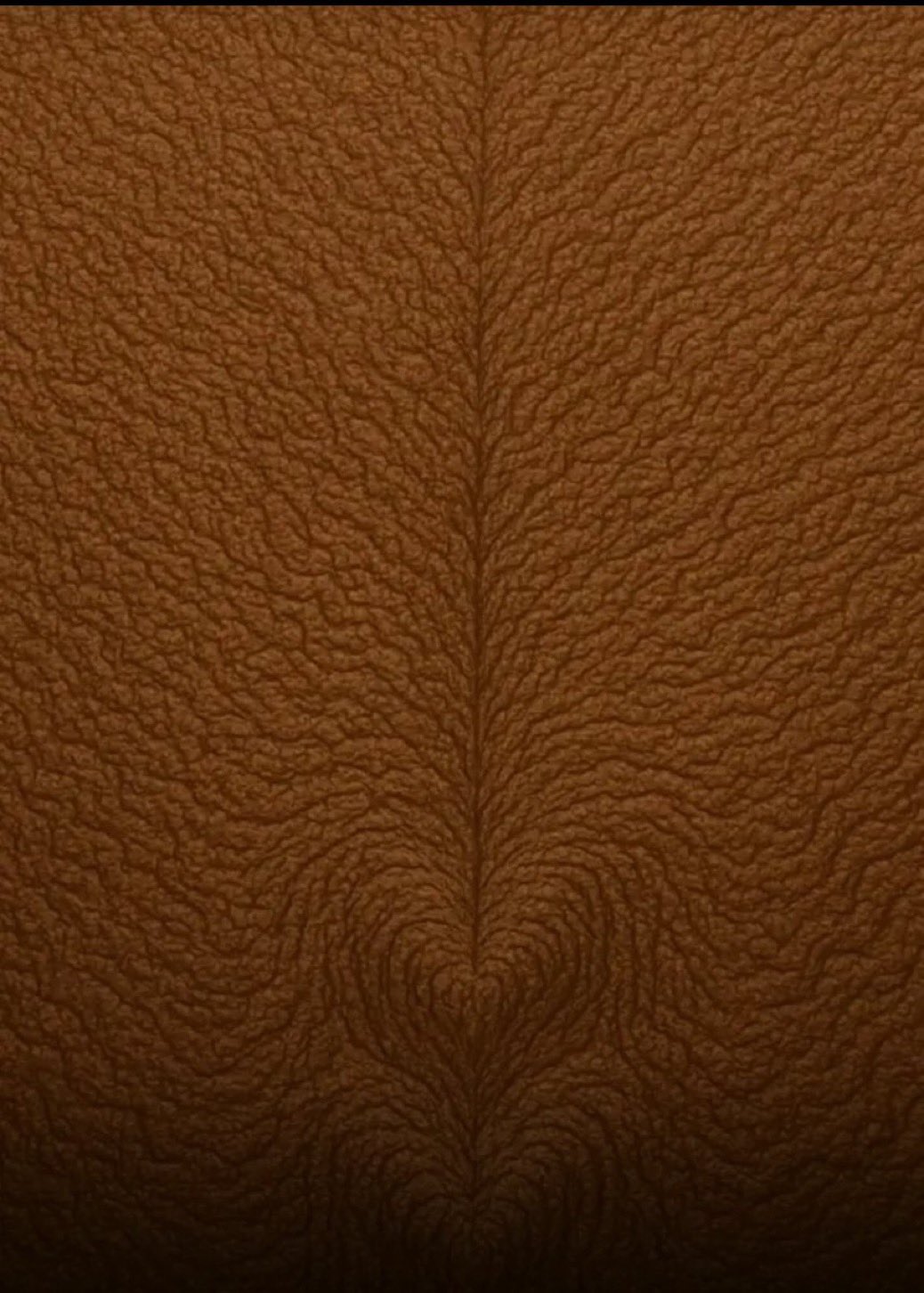 Unrecognizable Speed AI Face Edit #1 | Grotesque IShowSpeed Face Edits ...