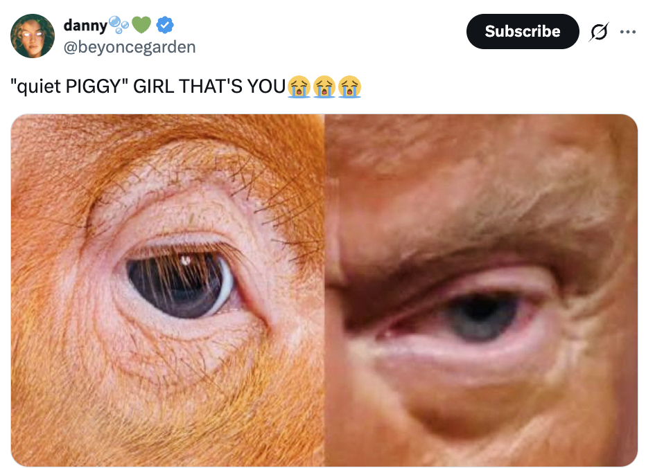 "quiet PIGGY" GIRL THAT'S YOU😭😭😭 | "Quiet Piggy" Donald Trump | Know ...