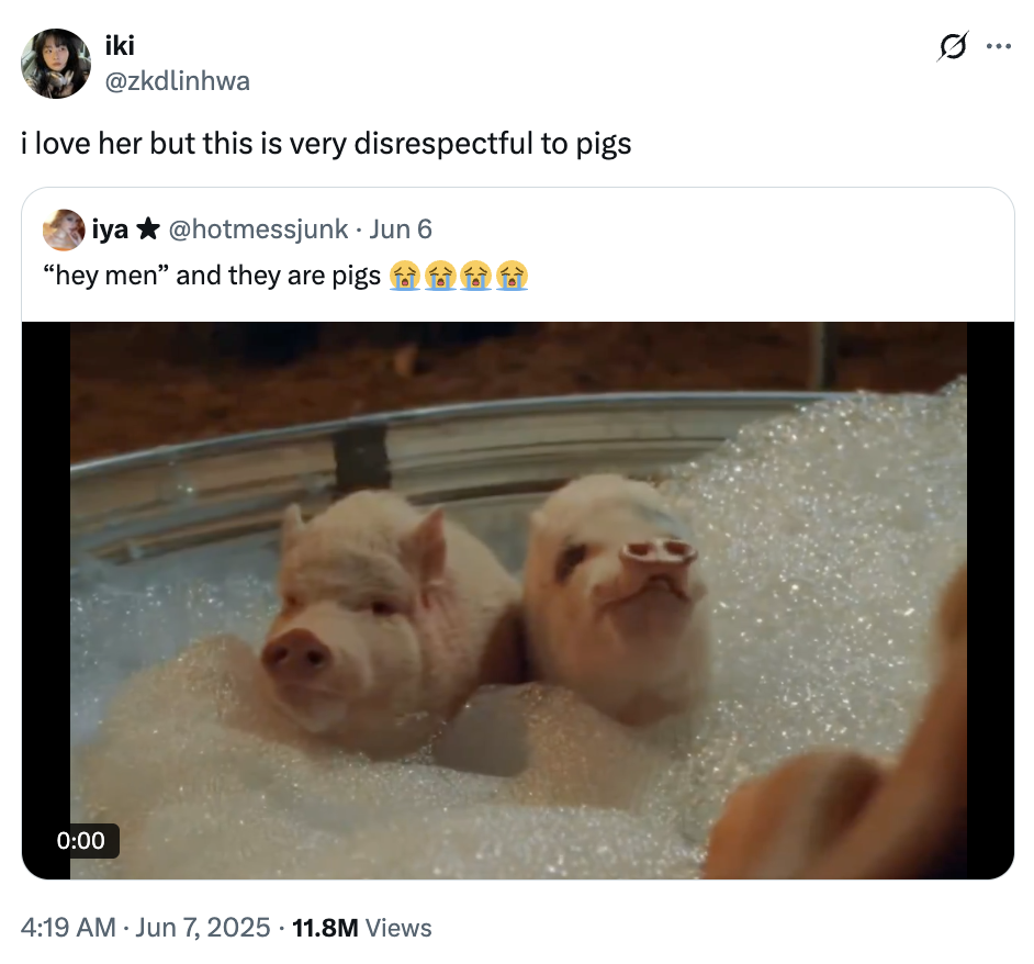 i love her but this is very disrespectful to pigs | "Hey Men" and They ...
