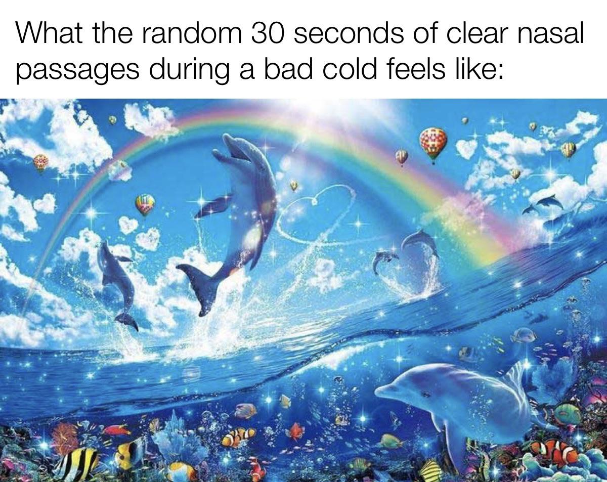 I hate colds. | /r/memes | Know Your Meme
