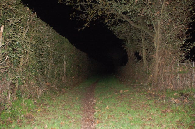 Night Walk | Liminal Spaces / Images With Elegiac Auras / Dreamcore ...