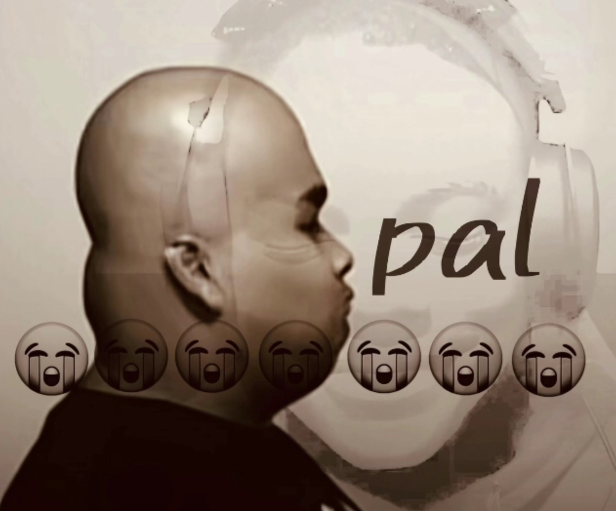 pal😭😭😭😭😭 | Son 😭😭😭😭😭 / "Son" Meme | Know Your Meme