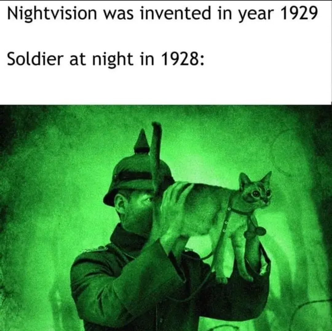 Night cats | /r/memes | Know Your Meme