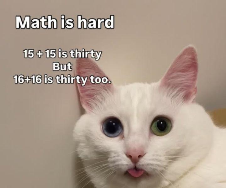 16 16 is 32 | /r/memes | Know Your Meme