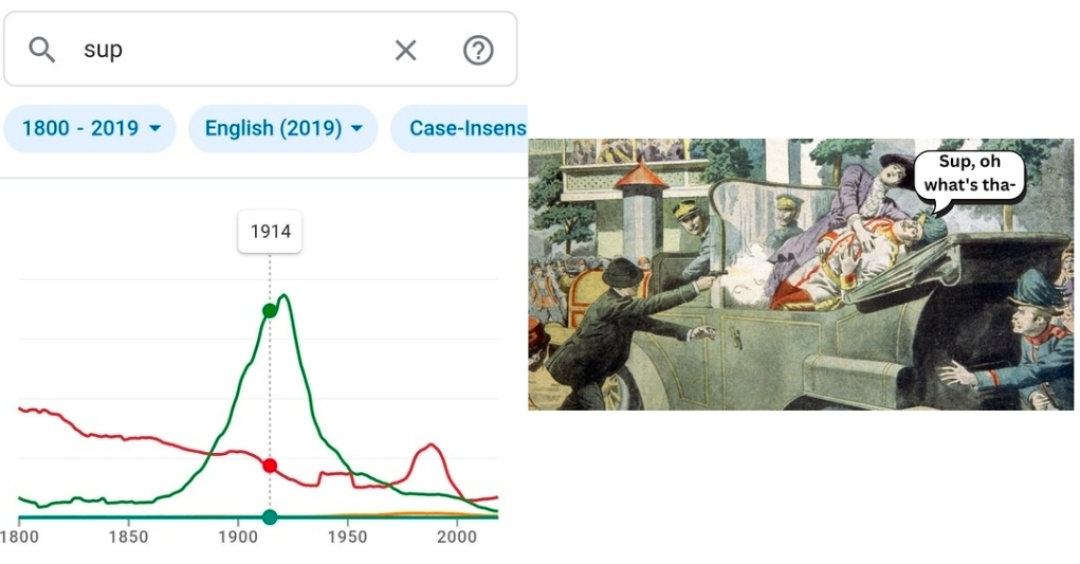 Franz Ferdinand's Last Words | History Memes | Know Your Meme