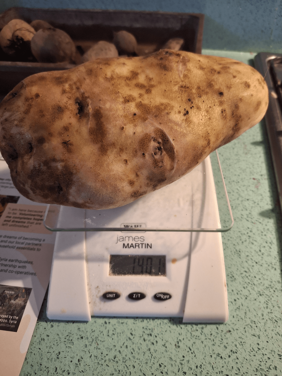 This normal potato | Absolute Unit | Know Your Meme