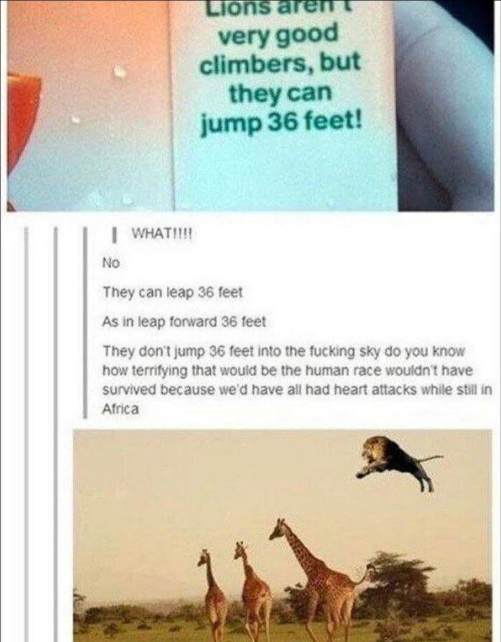 Hard to believe they can leap 36 feet | /r/dankmemes | Know Your Meme