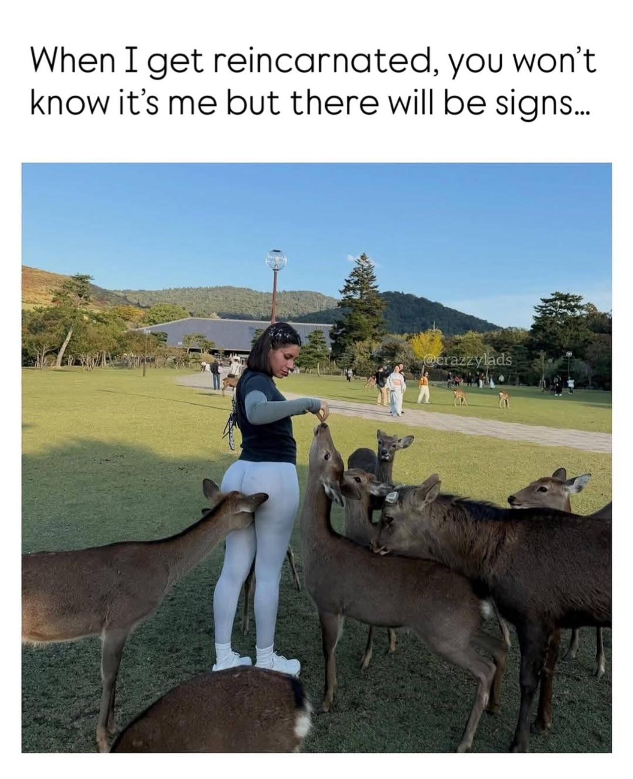 Yep that’s my spirit | /r/memes | Know Your Meme