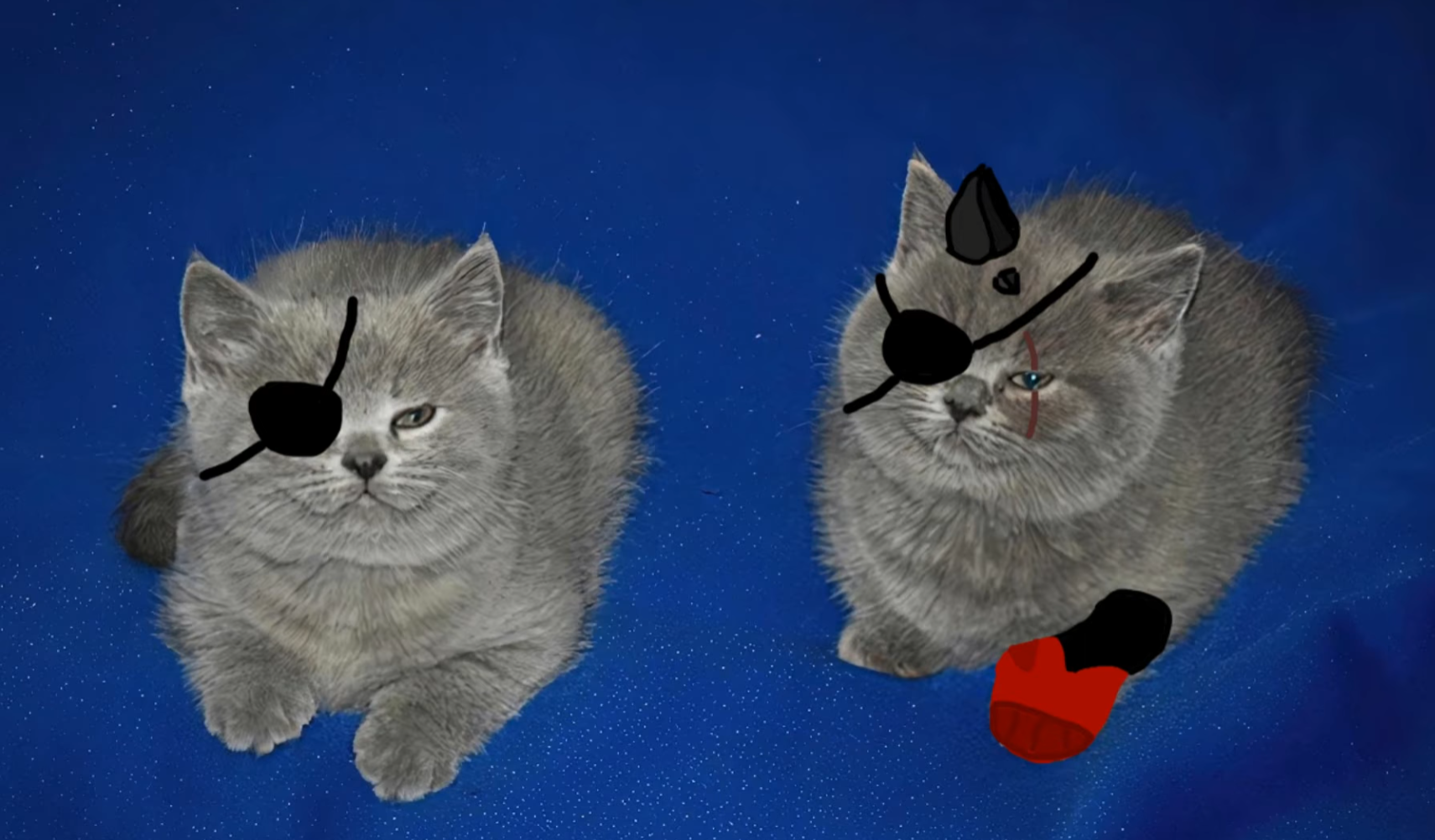 So did Alpharius and Omegon actually do anything in the lore? | /r/grimdank | Know Your Meme