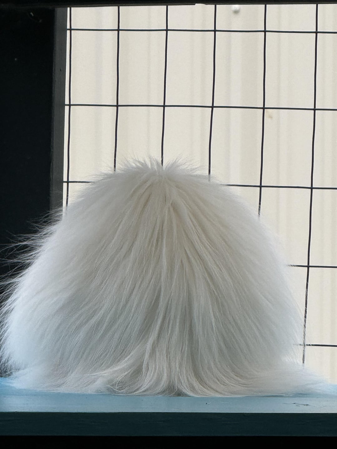 Just Andy Warhol’s Wig | Know Your Meme