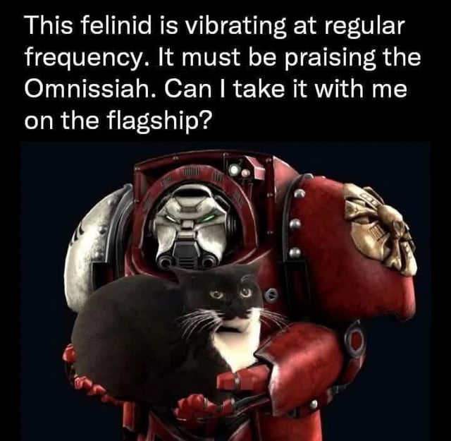 Important Artifact Acquired | Warhammer 40,000 | Know Your Meme