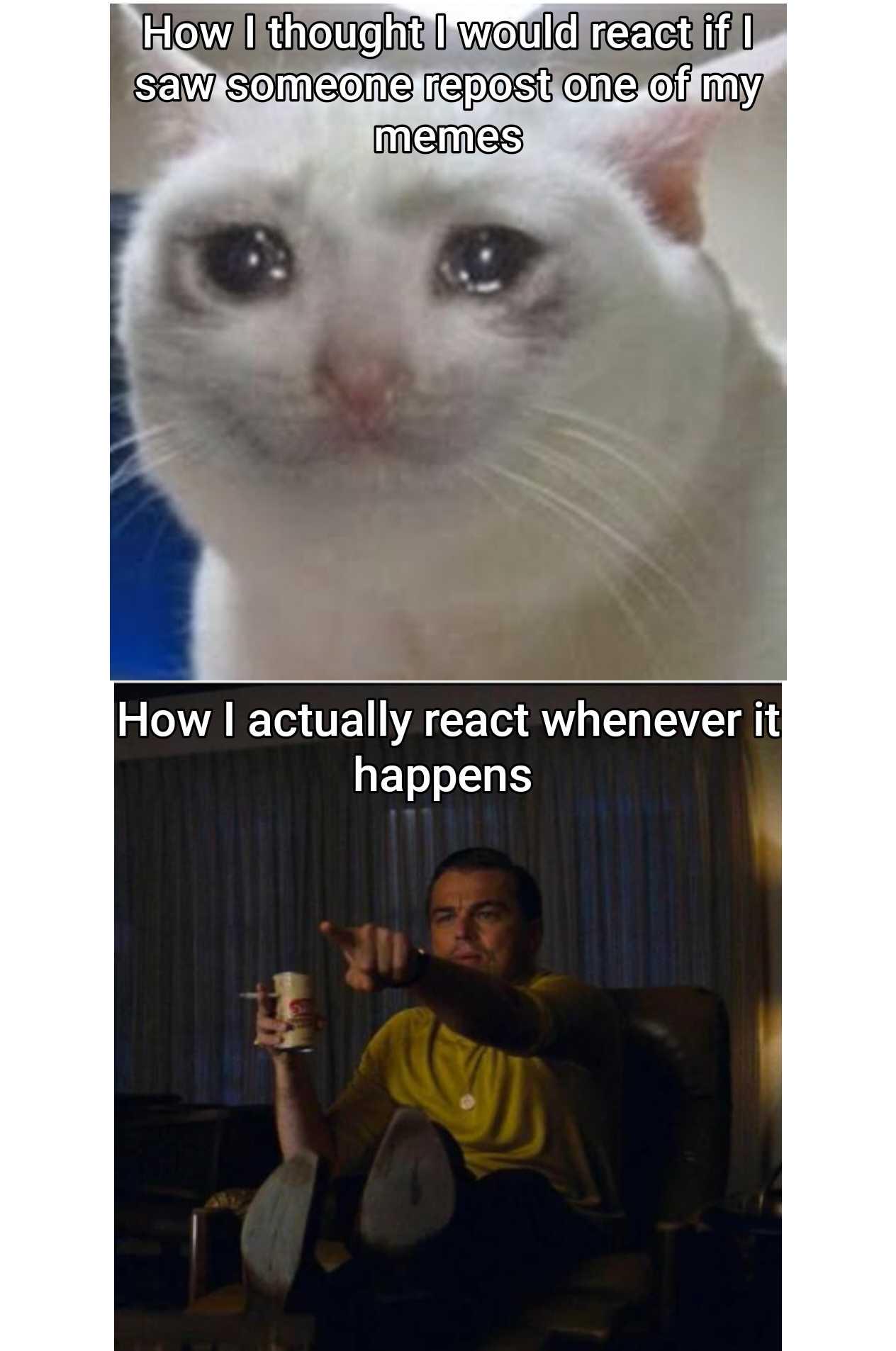 It actually kinda funny | /r/dankmemes | Know Your Meme