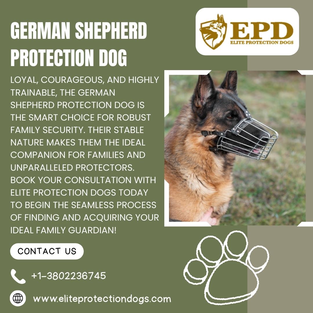 Why a German Shepherd Protection Dog is Your Ideal Family Guard. | Know ...