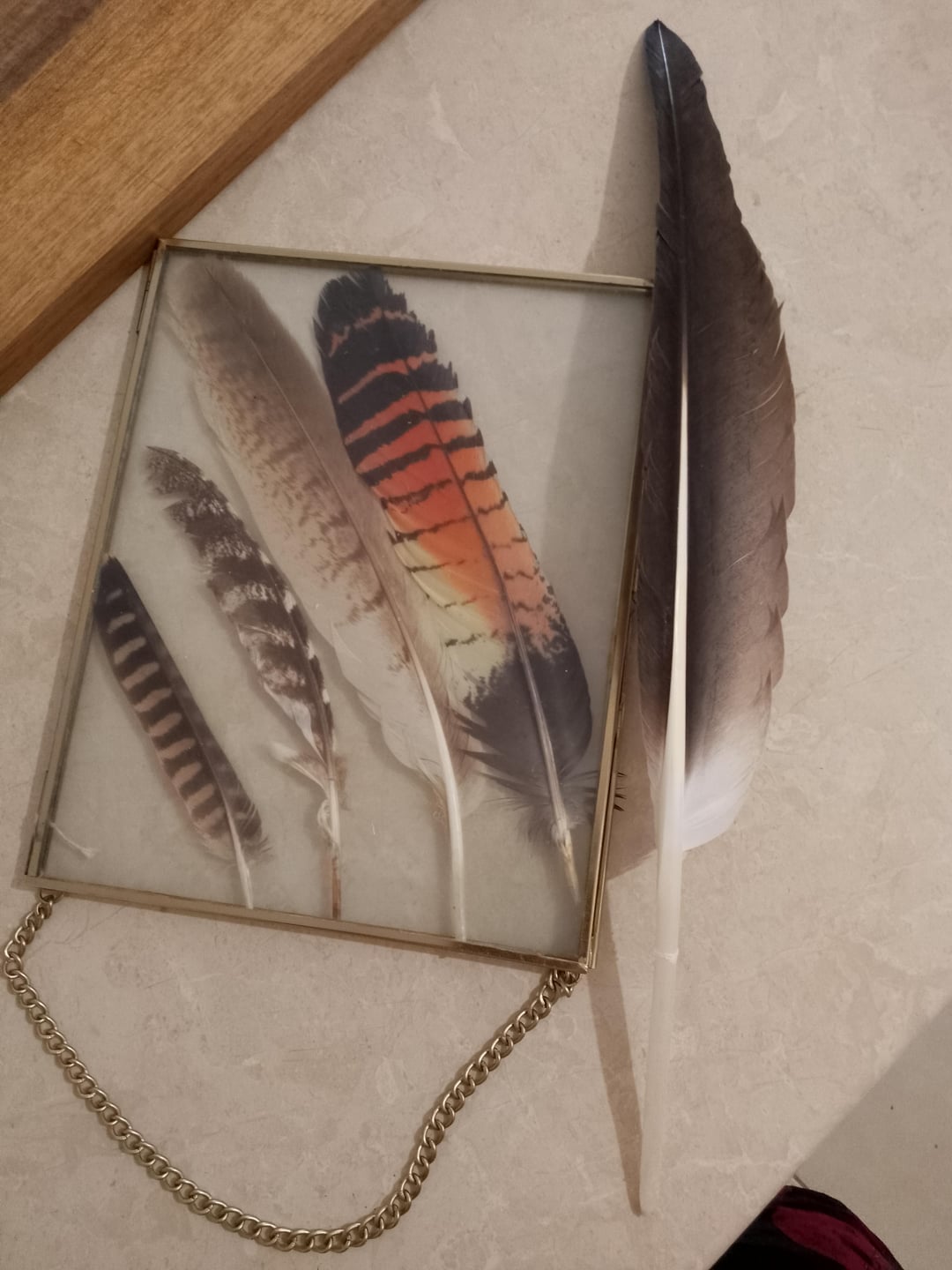 Feathers From Perth | Know Your Meme