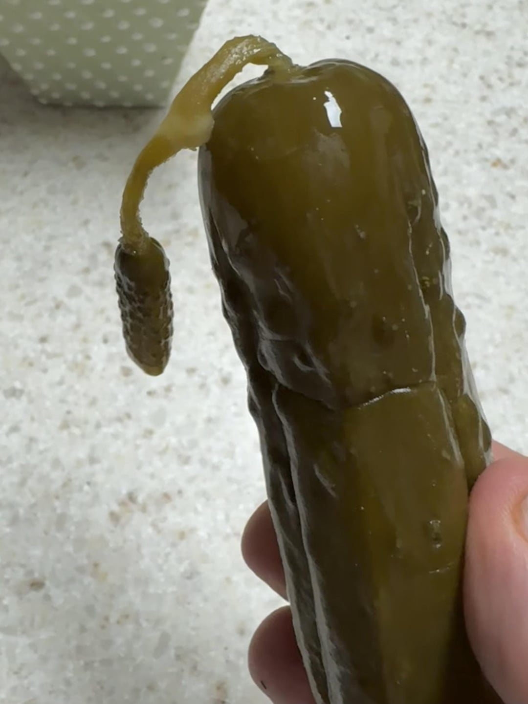 This pickle with a bonus pickle | Know Your Meme