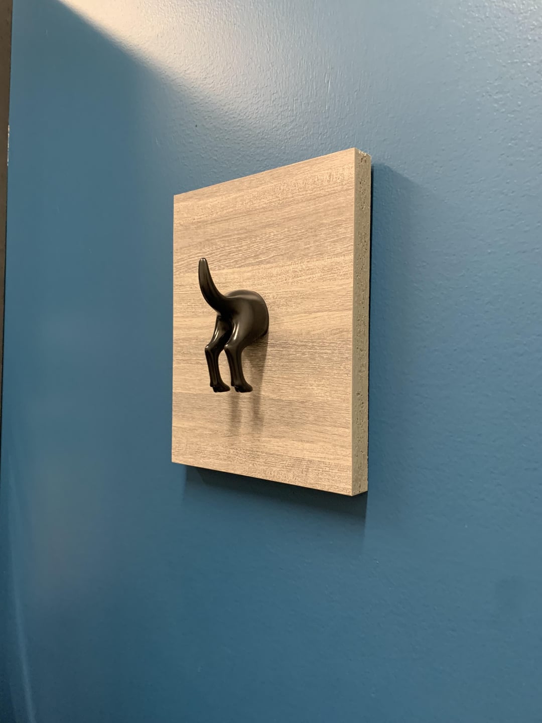 This coat hanger at the vet | Know Your Meme