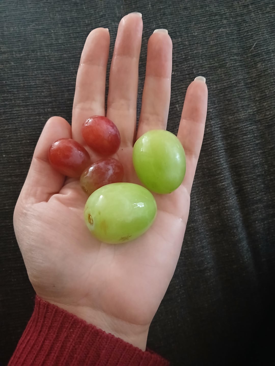 Two large grapes | Absolute Unit | Know Your Meme