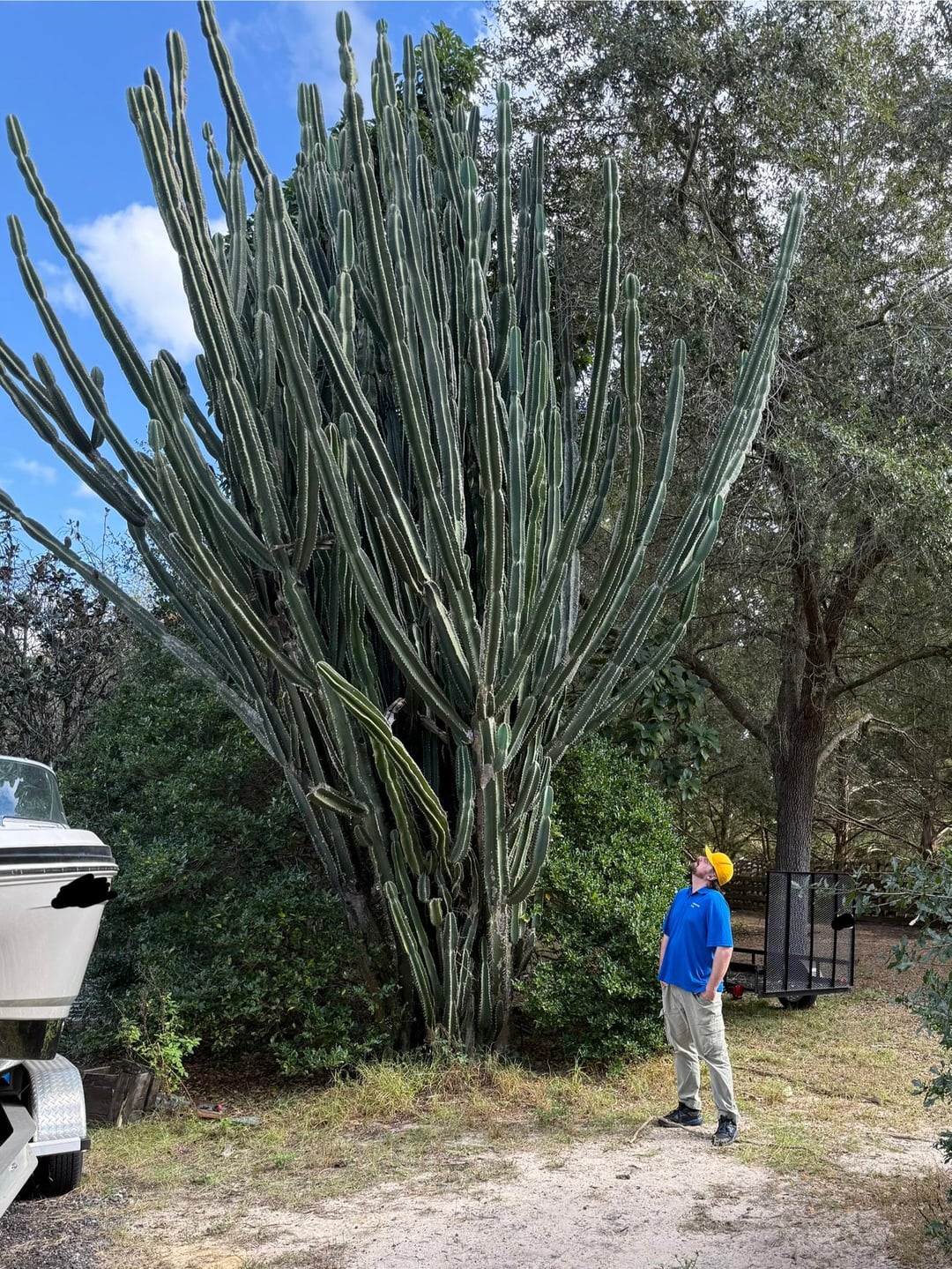 This cactus | Absolute Unit | Know Your Meme
