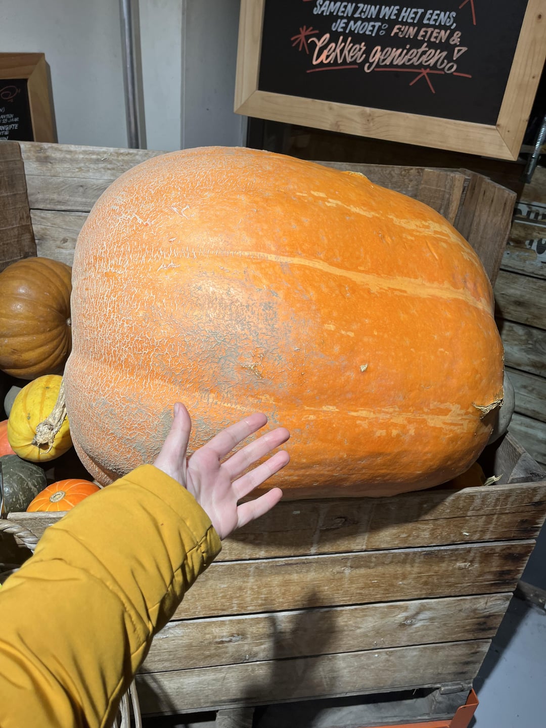 Award-winning pumpkin | Absolute Unit | Know Your Meme