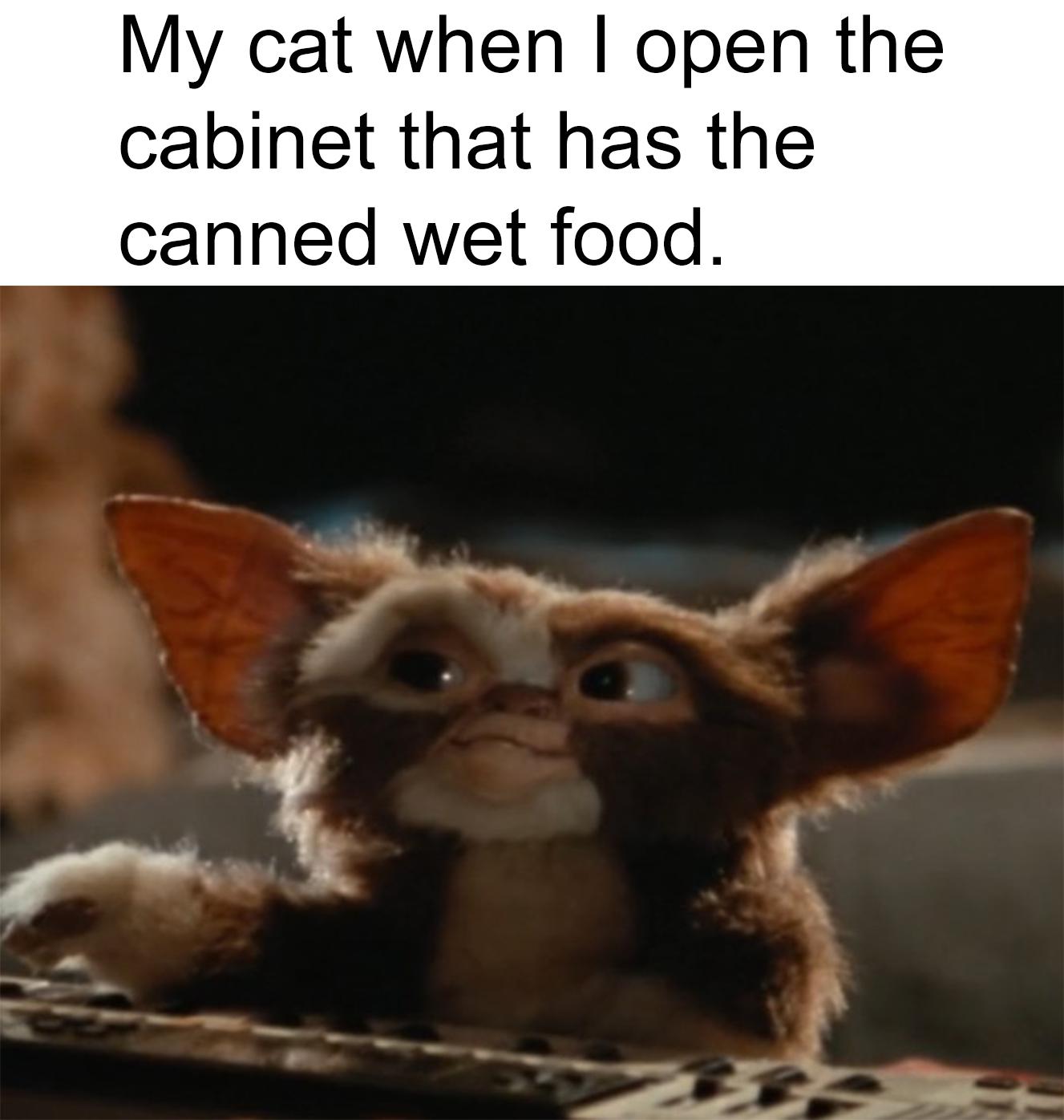 Posting Original Gremlin Memes for 25 Days: Day 18 | /r/memes | Know ...