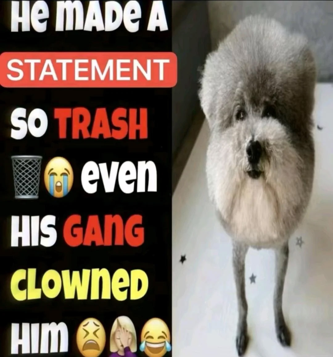 Original Meme / Reaction Image | He Made a Statement So Trash Even His Gang Clowned Him | Know ...