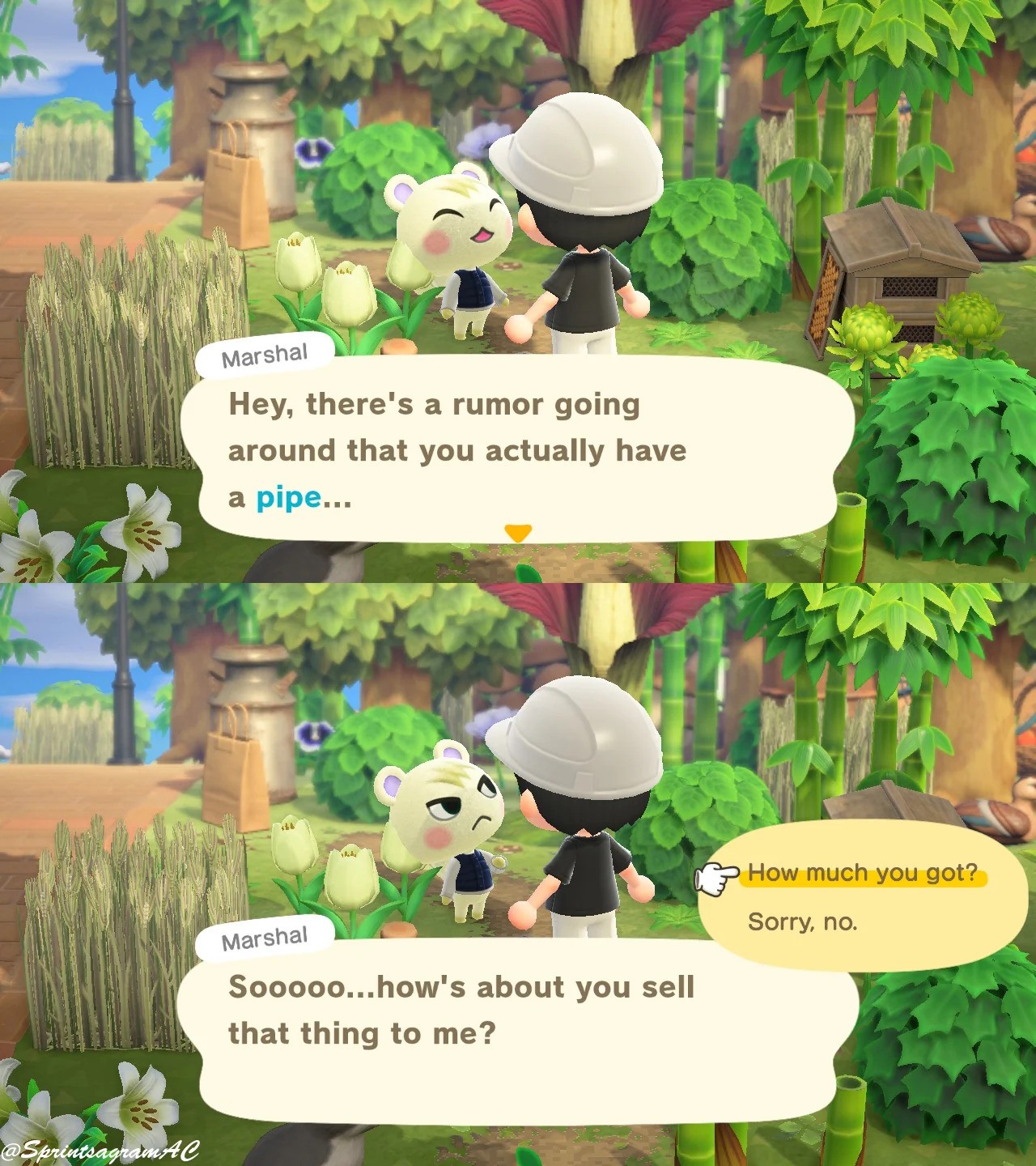 Marshal wants that pipe | Animal Crossing: New Horizons | Know Your Meme