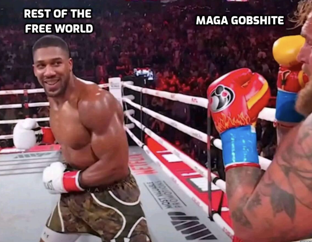 Rest of the world / MAGA Gobshite | Anthony Joshua Smiling at Jake Paul ...