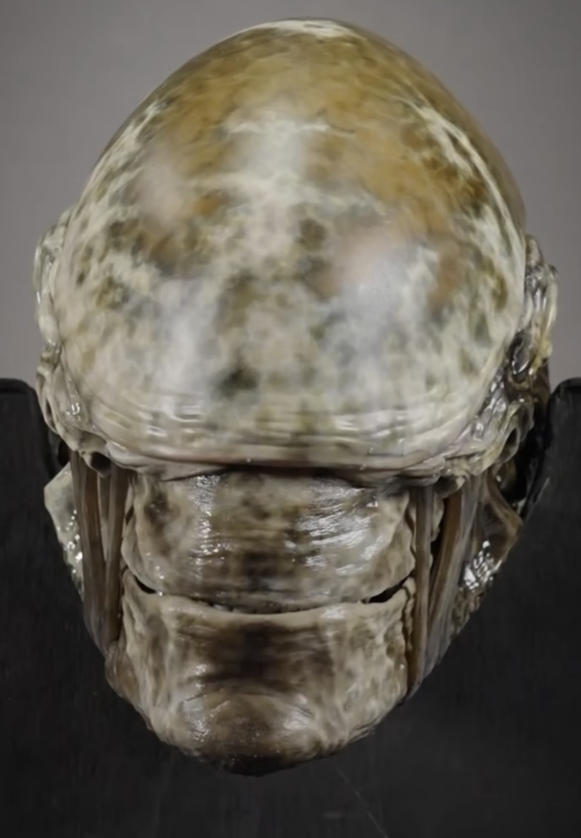 Alien Earth Xenomorph face | Alien | Know Your Meme