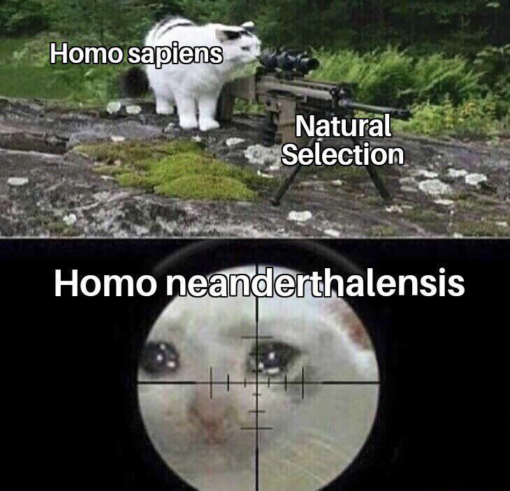 Evolution time | History Memes | Know Your Meme