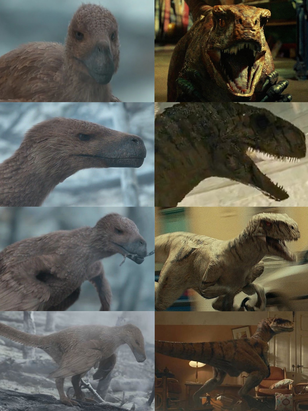 Atrociraptor comparison | Prehistoric Planet | Know Your Meme