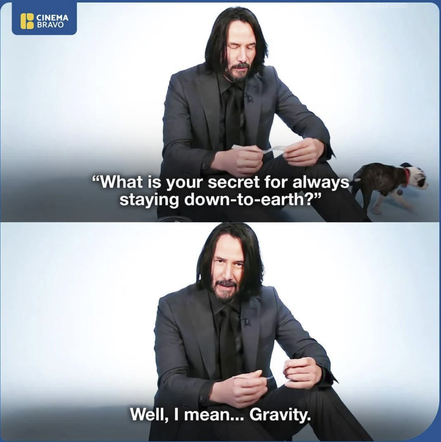 Staying down | /r/technicallythetruth / Technically The Truth | Know ...