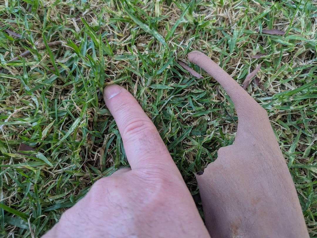 Two hands | Know Your Meme