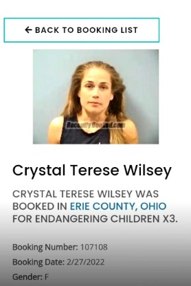 RecentlyBooked Crystal Wilsey Child Endangerment Charges Alleged ...