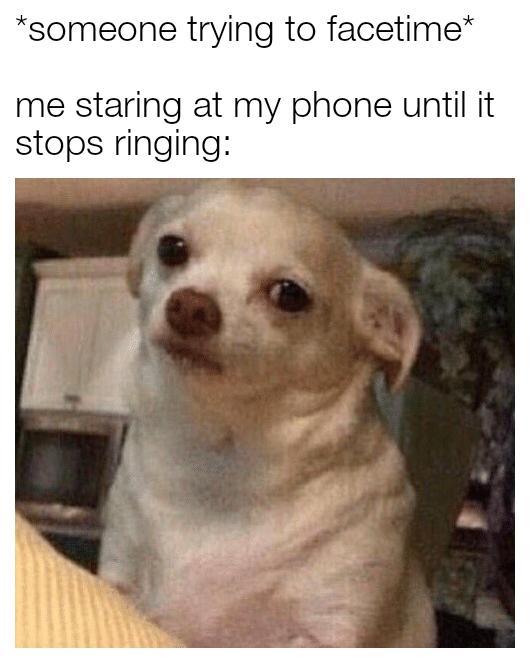 When Eye Contact Is Your Only Defense Against FaceTime | /r/memes ...