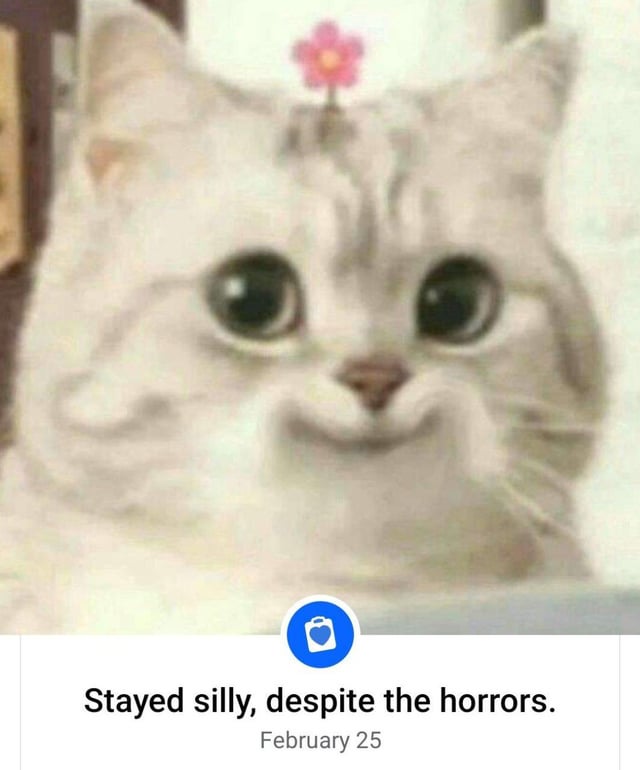 Stay silly | Cats | Know Your Meme