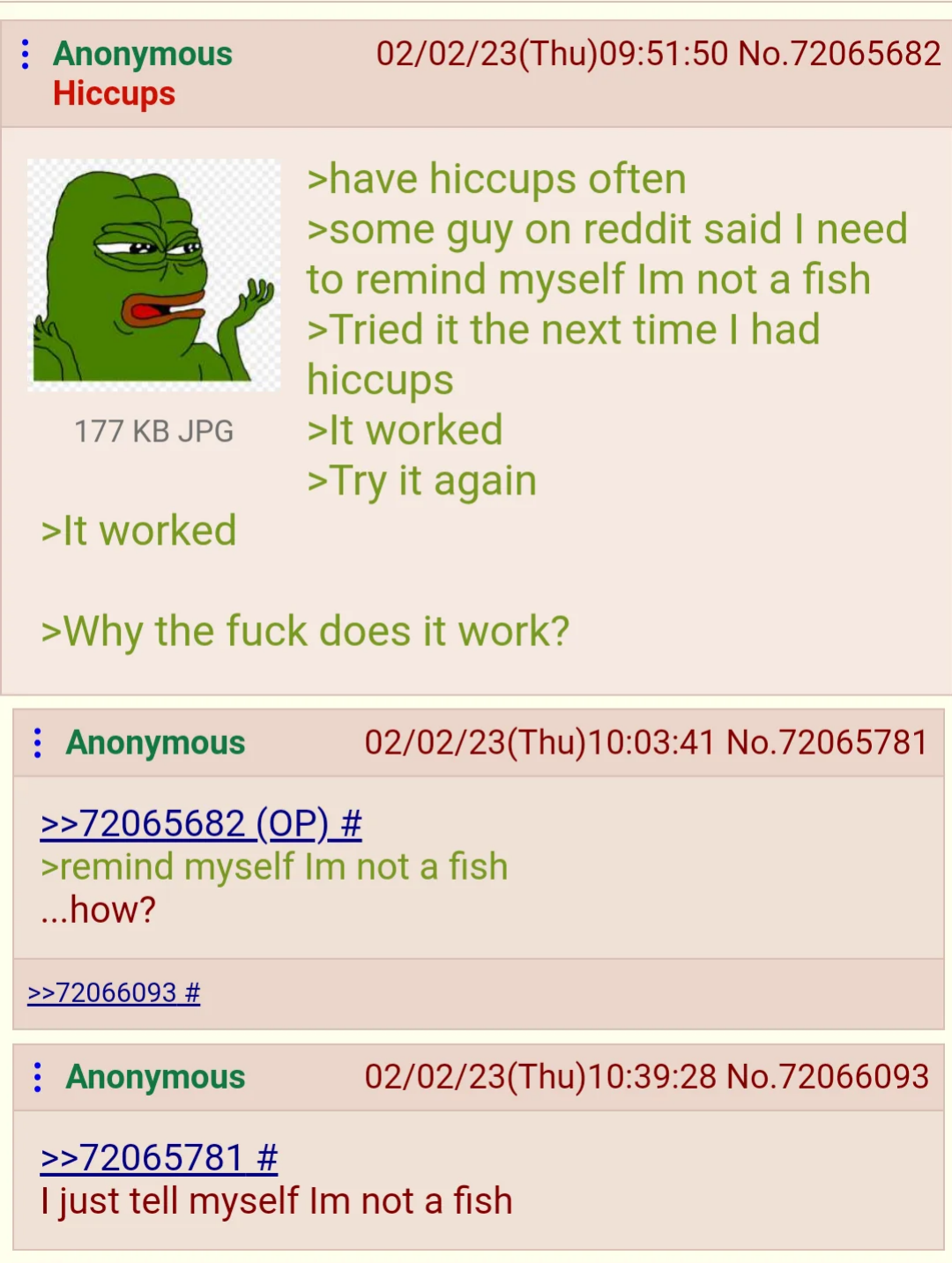 Anon is not a fish. | /r/Greentext | Know Your Meme