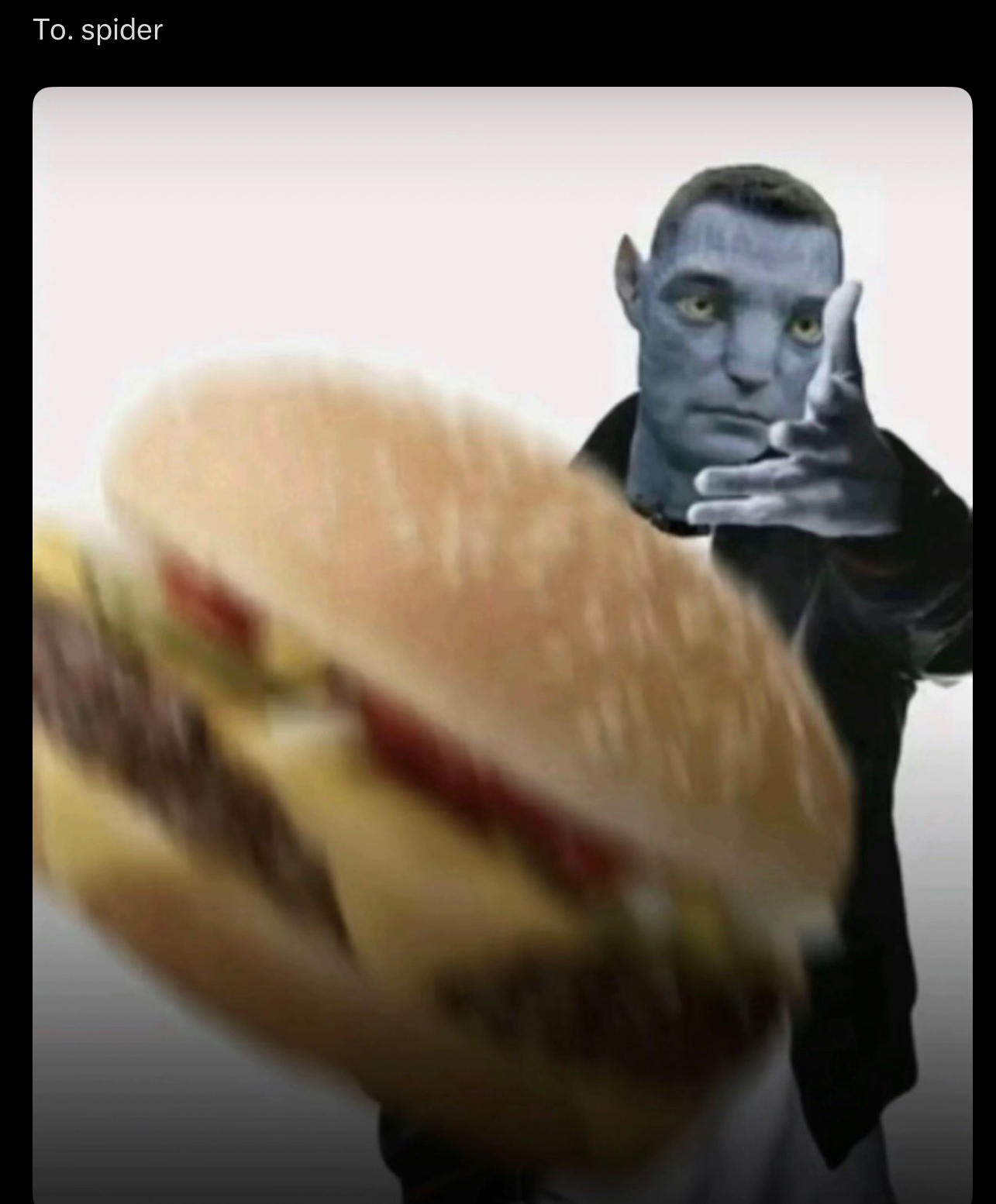 For spider | Avatar (Film) | Know Your Meme