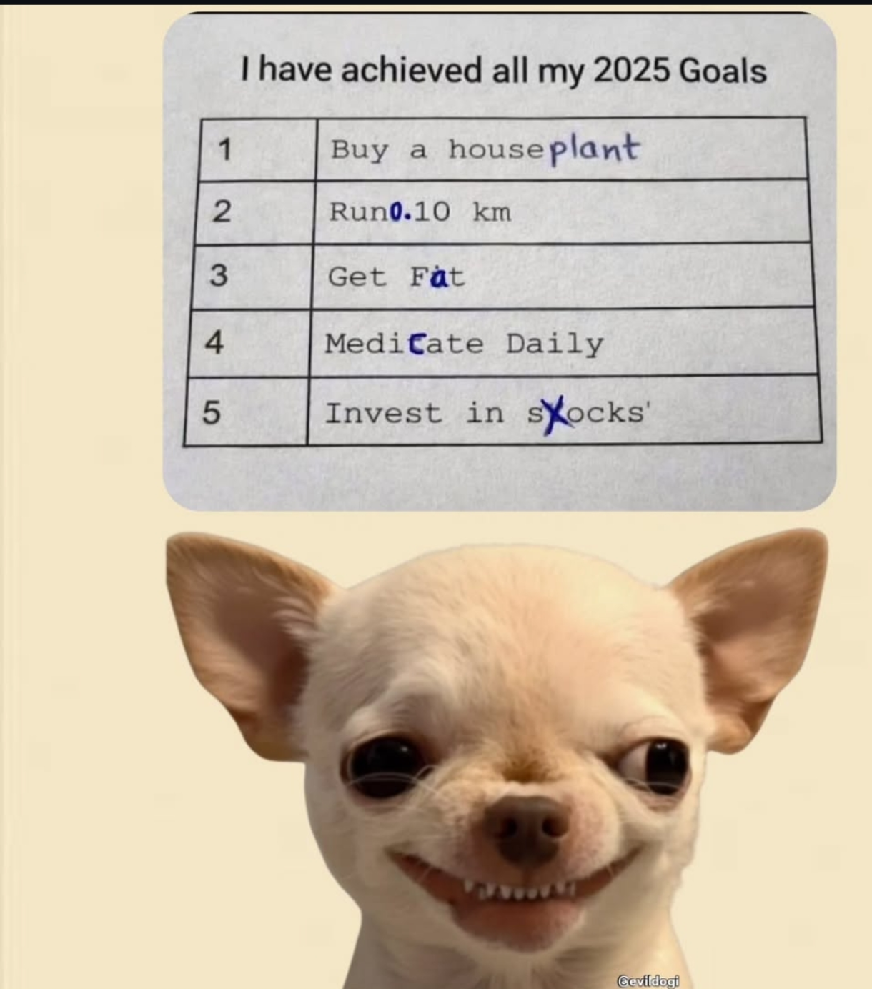 I have achieved all this in 2025!! | /r/memes | Know Your Meme