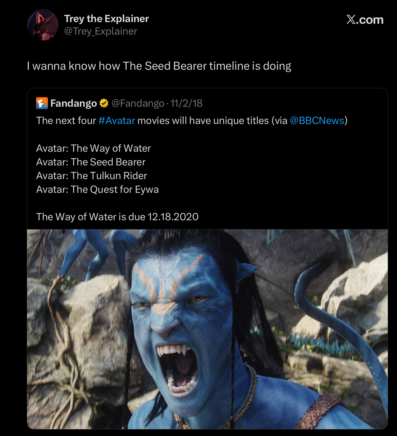 What is the seed bearer timeline doing | Know Your Meme