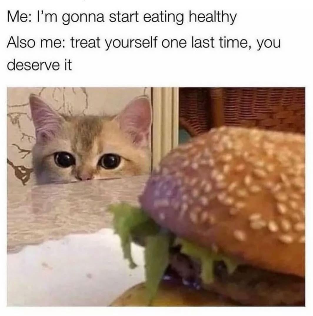 Treat yourself | Cats | Know Your Meme