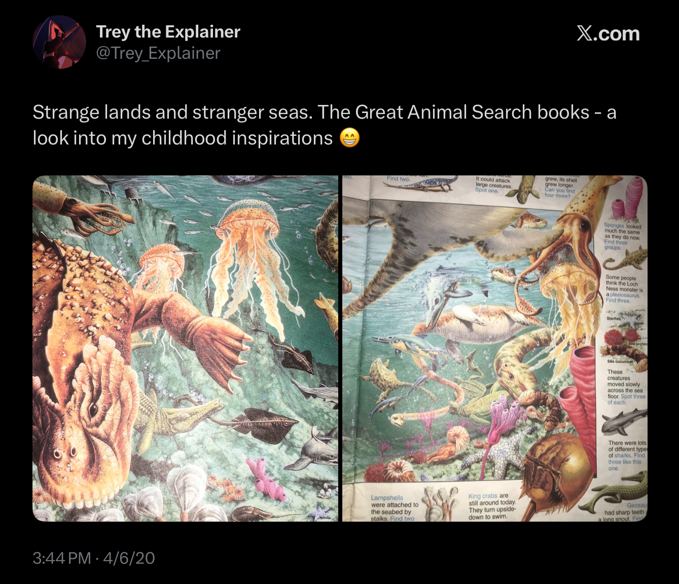 The old great animal search books | Know Your Meme