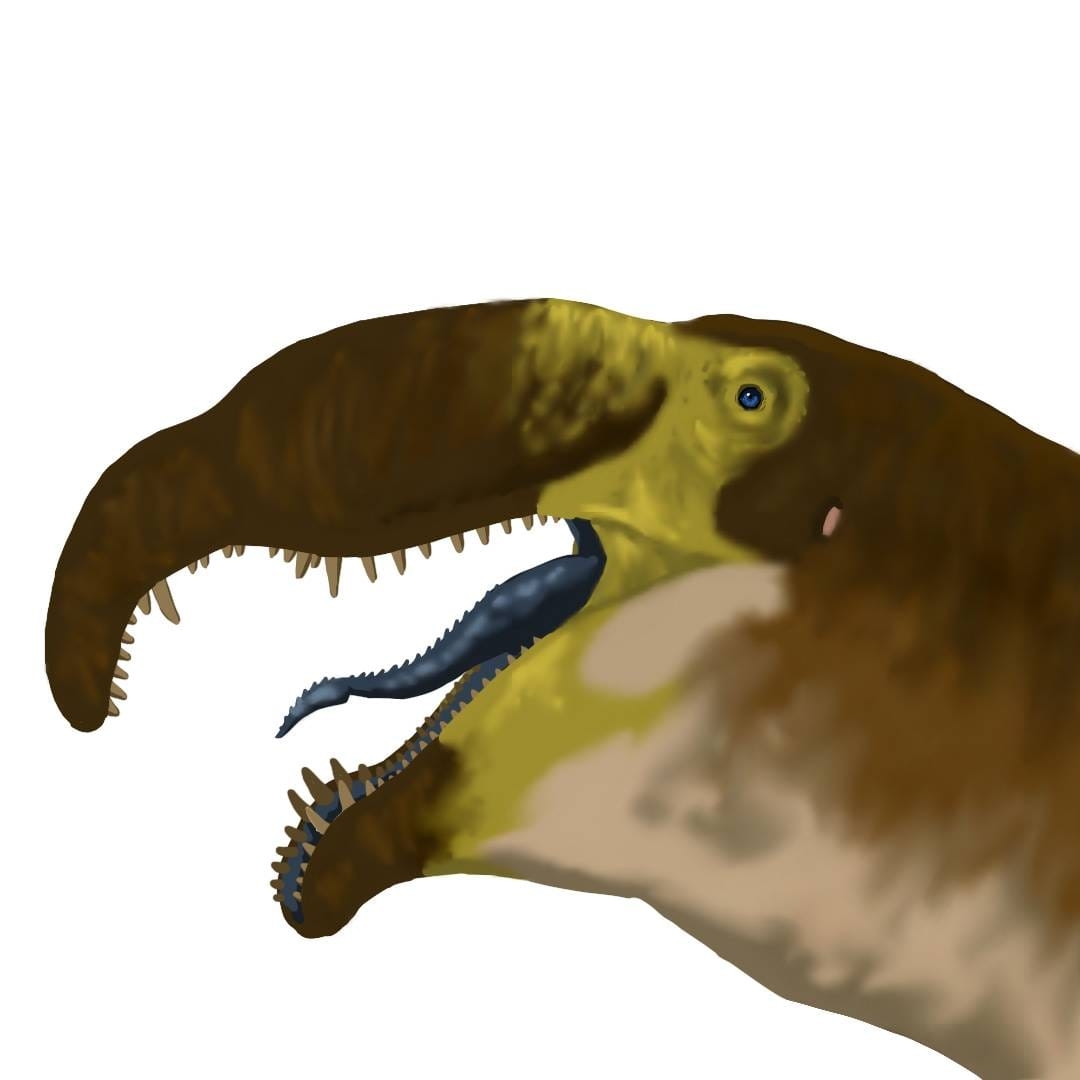 Spinofaarus | Spinofaarus / Spinosaurus Nerf | Know Your Meme