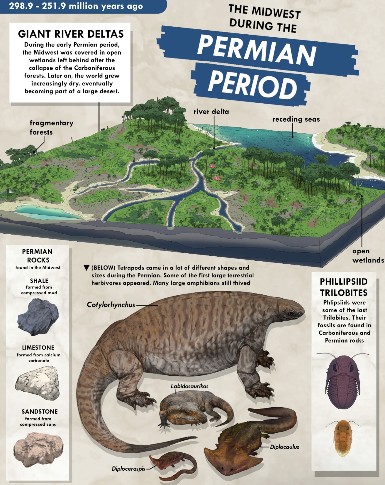 The Permian period | Paleontology | Know Your Meme