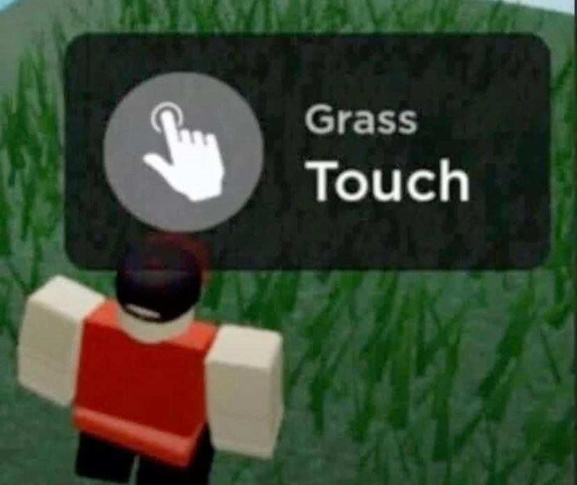 touch grass | /r/memes | Know Your Meme