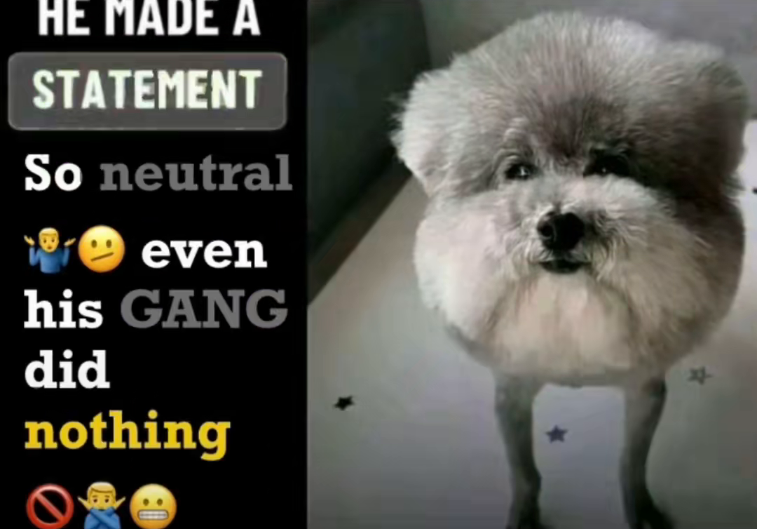 he made a statement so neutral even his gang did nothing | Know Your Meme